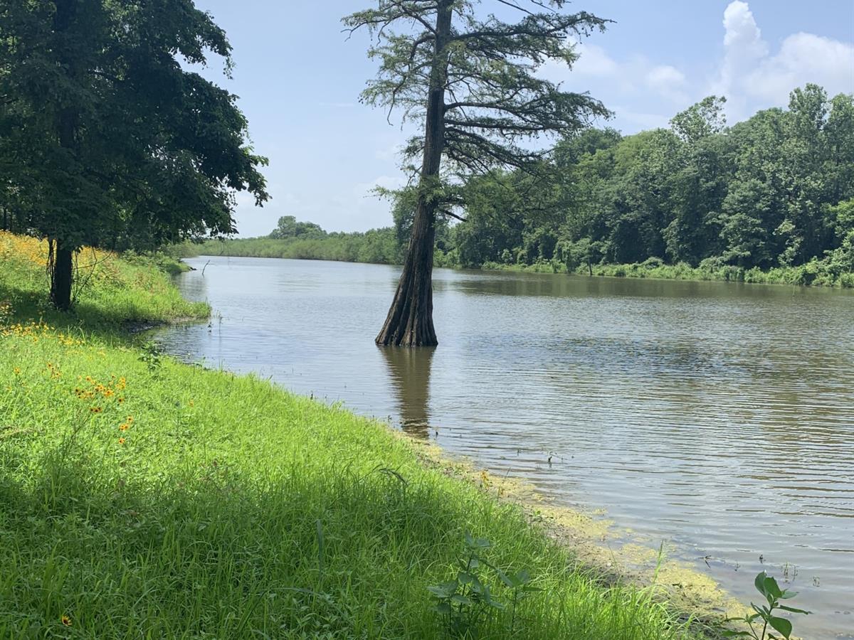 MOON LAKE FARMS – Gloucester Terrace